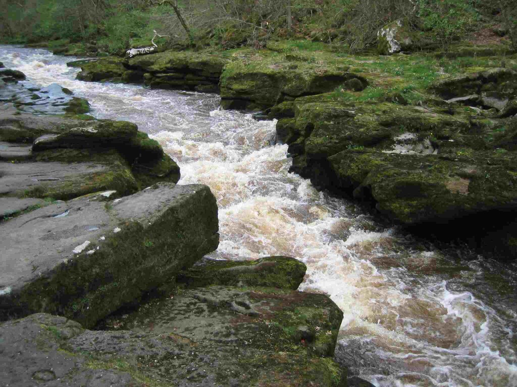 Yorkshire’s drought stricken Strid | Ellee Seymour MCIPR